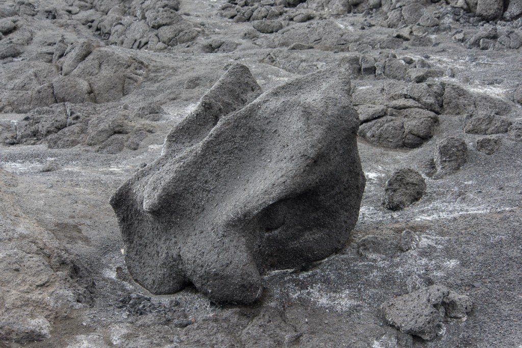 Ventifacts: In a Surrealist Sculpture Garden – Helen Glazer